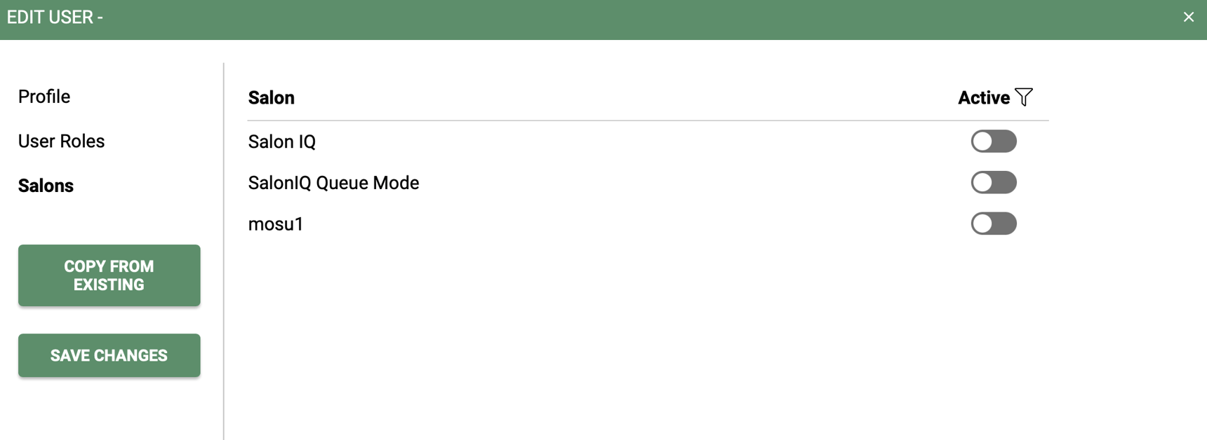 Setting up Security for Users on SalonIQ